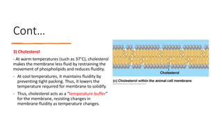 3 List of factors affecting membrane fluidity.pptx