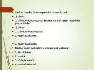 Sistem reproduksi pria (wafa, kharisma) | PPTX