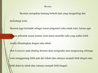 Sistem reproduksi pria (wafa, kharisma) | PPTX