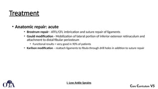 3 Lower Extremity Foot and Ankle Ligamentous Tendon Injuries about the ...