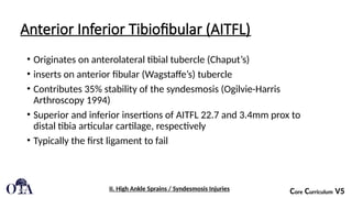 3 Lower Extremity Foot and Ankle Ligamentous Tendon Injuries about the ...