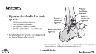 3 Lower Extremity Foot and Ankle Ligamentous Tendon Injuries about the ...