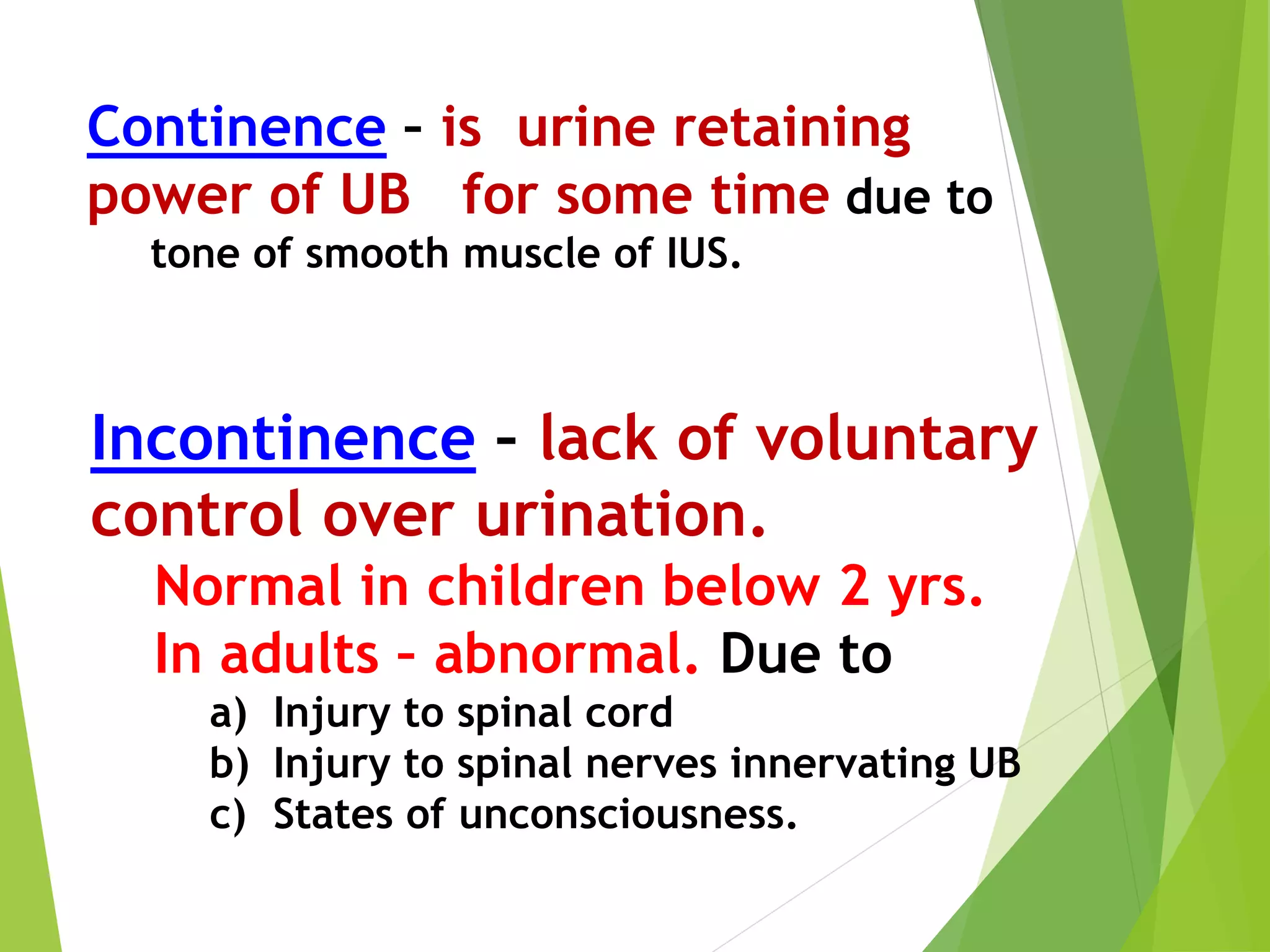 Lower urinary tract | PPTX