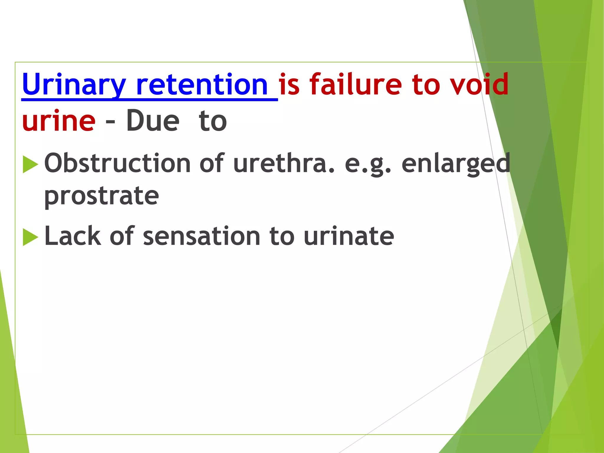 Lower urinary tract | PPTX