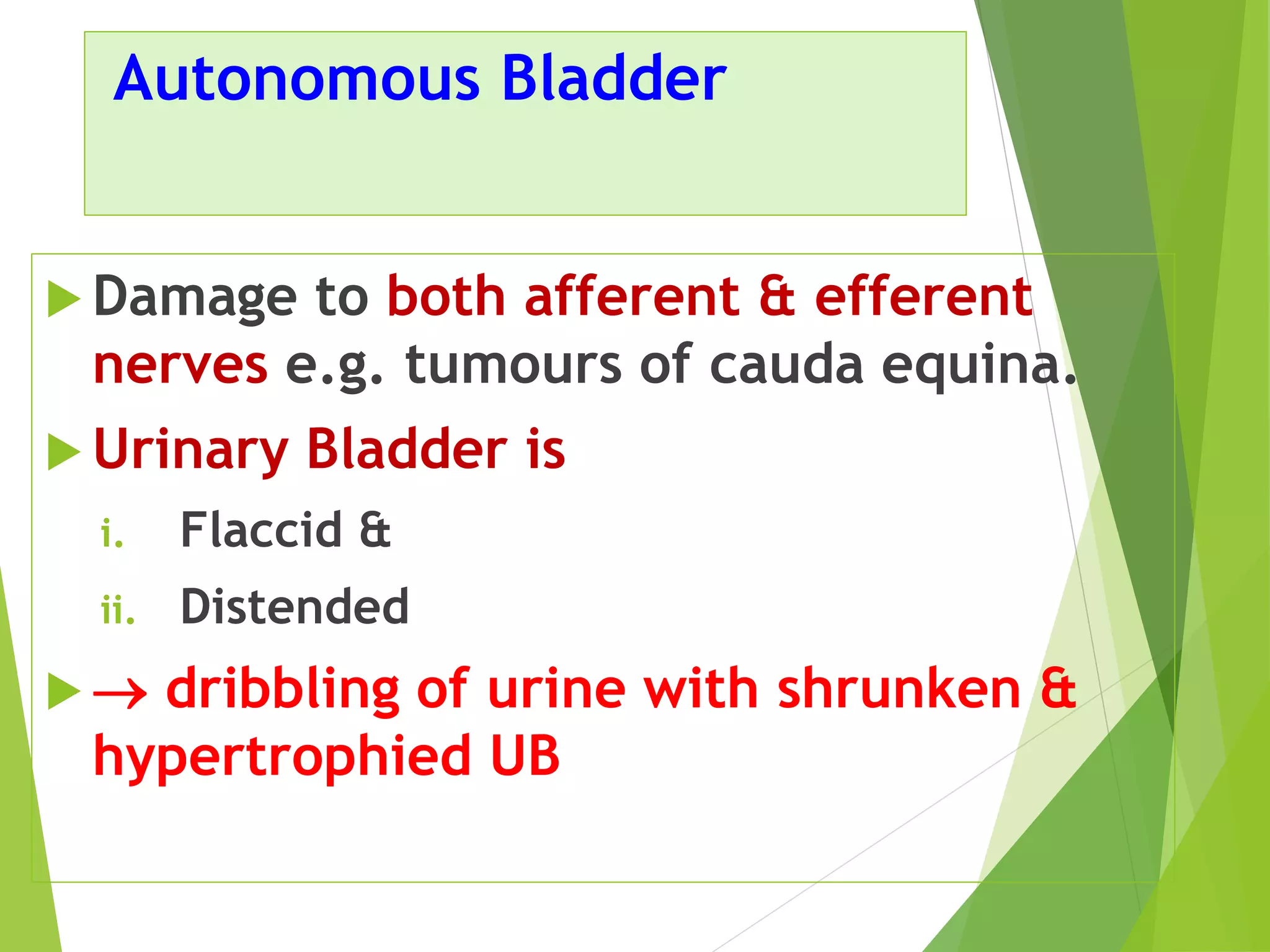 Lower urinary tract | PPTX
