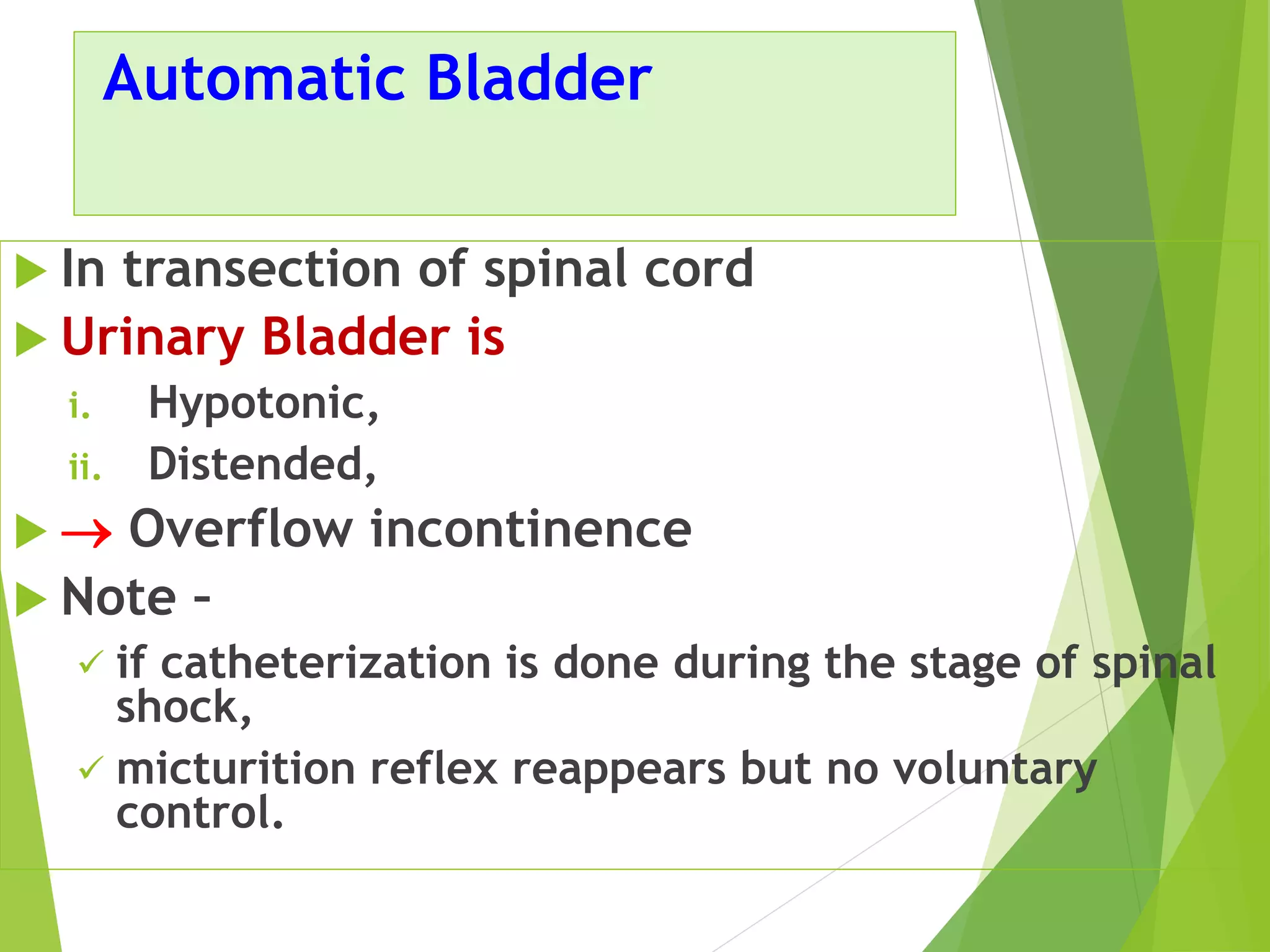 Lower urinary tract | PPTX
