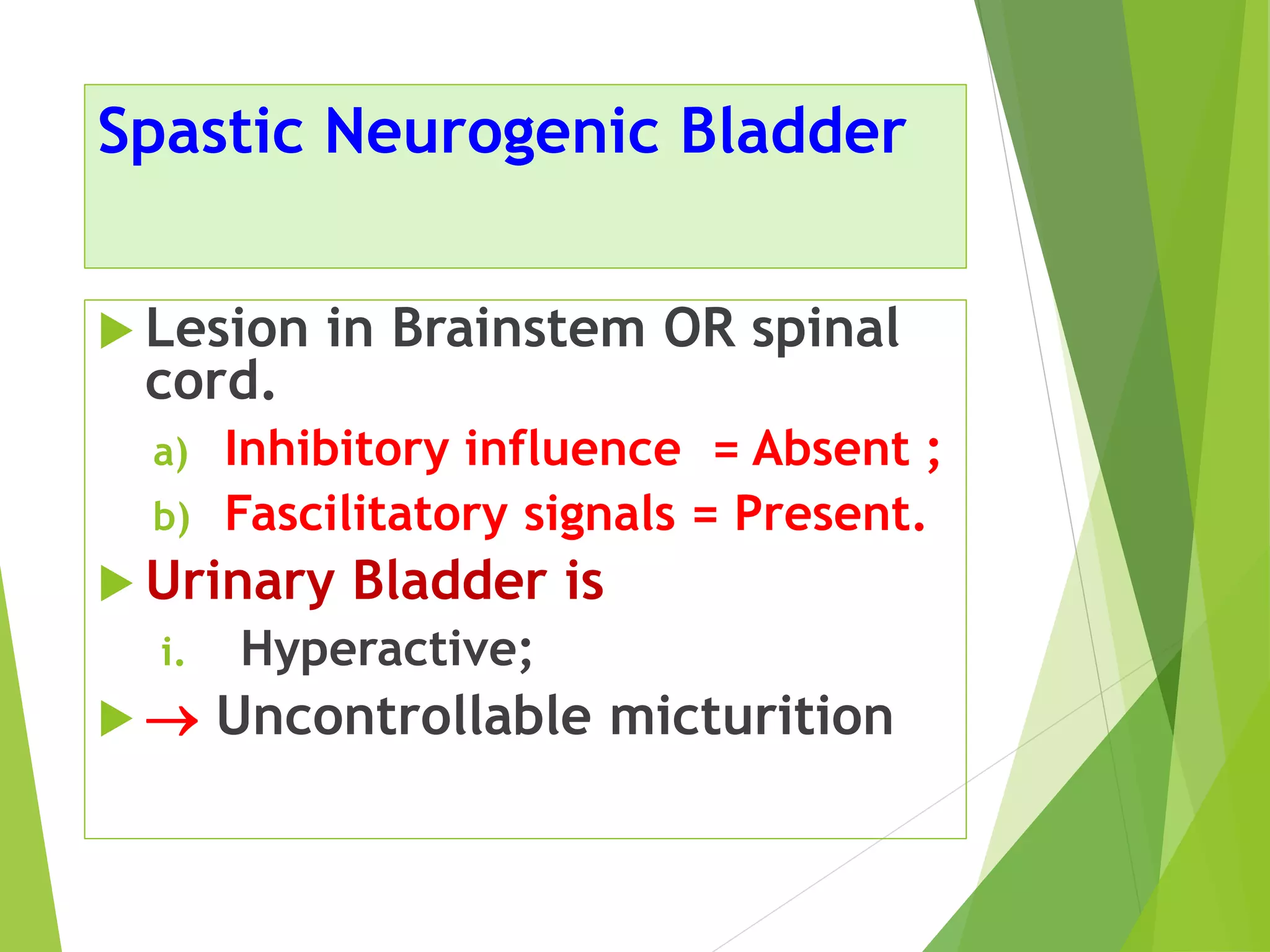 Lower urinary tract | PPTX