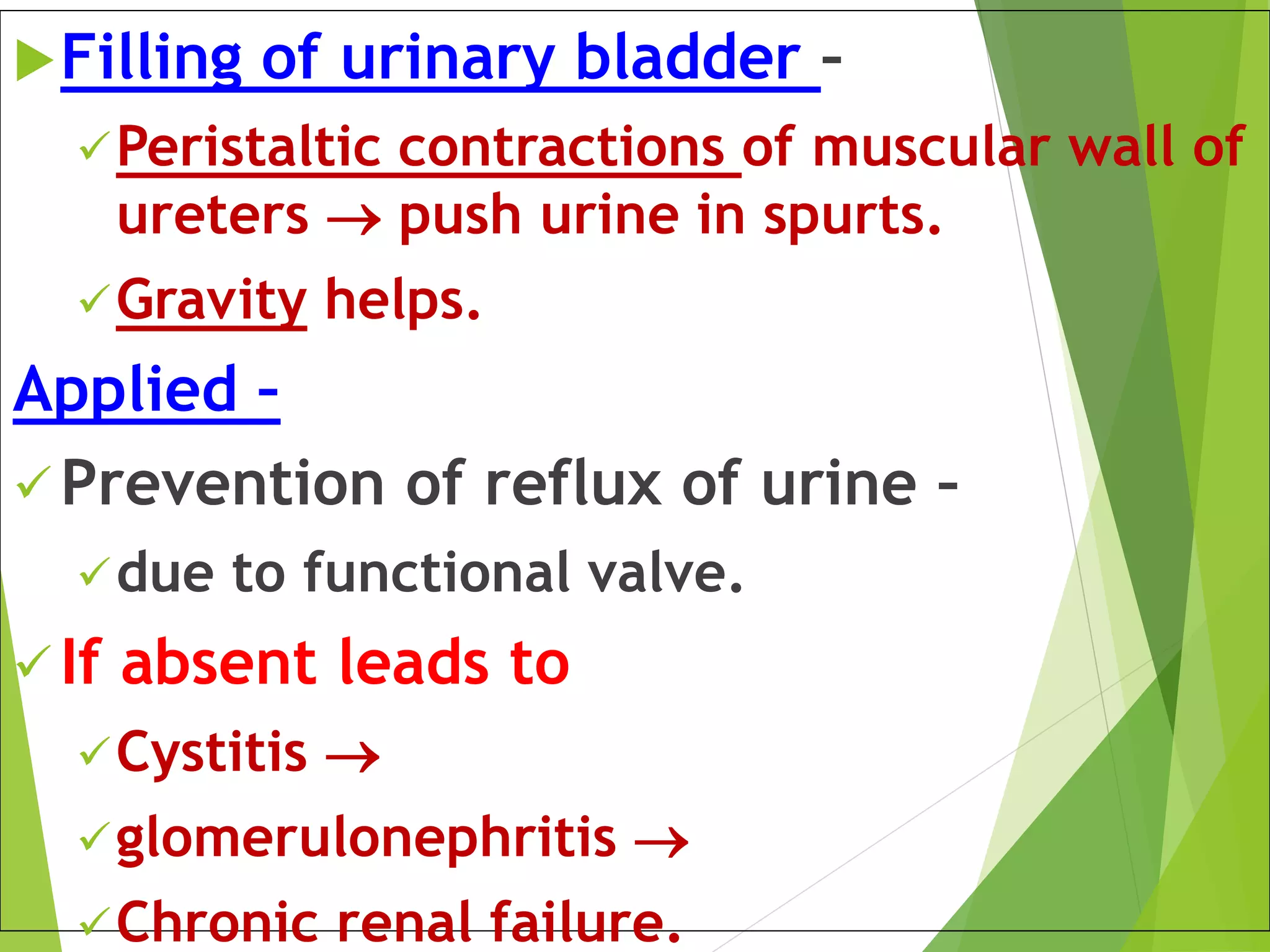 Lower urinary tract | PPTX