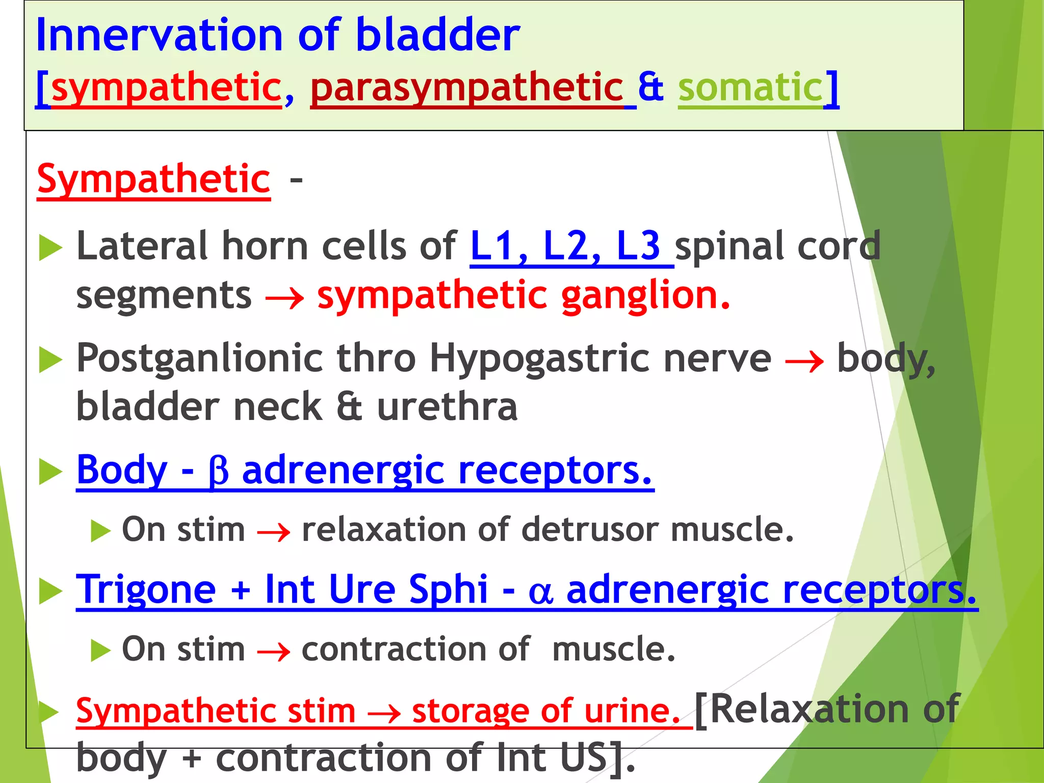 Lower urinary tract | PPTX