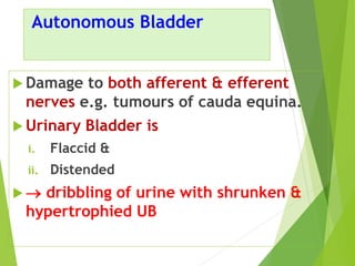 Lower urinary tract | PPTX