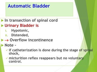 Lower urinary tract | PPTX