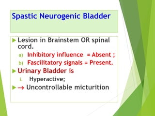 Lower urinary tract | PPTX