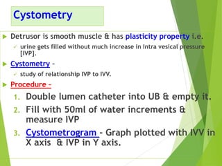 Lower urinary tract | PPTX