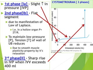 Lower urinary tract | PPTX