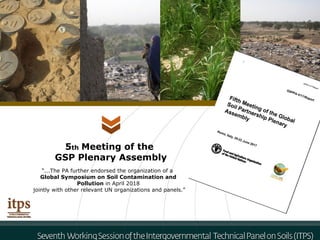 Organization of the Global Symposium on Soil Pollution | PPT ...
