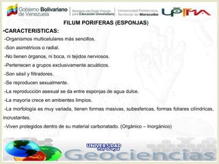 Macrofósiles parte I | PPSX