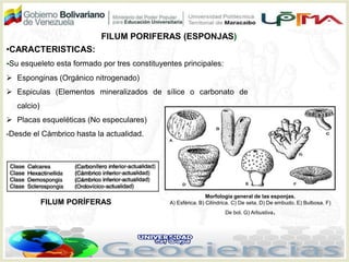 Macrofósiles parte I | PPSX
