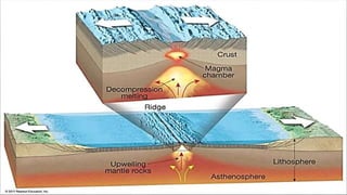 MAGMATISM, PARTIAL MELTING, AND TECTONIC SETTING.pptx