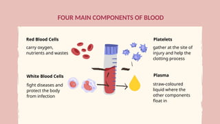 3 main organ system of a human body.pptx