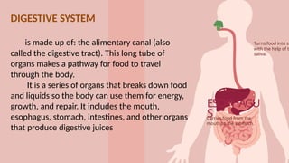 3 main organ system of a human body.pptx