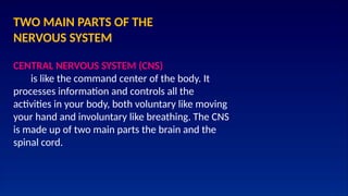 3 main organ system of a human body.pptx