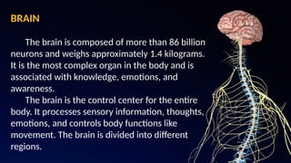 3 main organ system of a human body.pptx