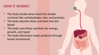 3 main organ system of a human body.pptx