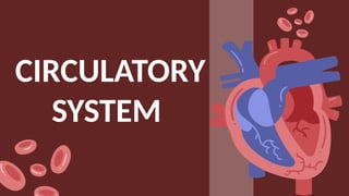 3 main organ system of a human body.pptx