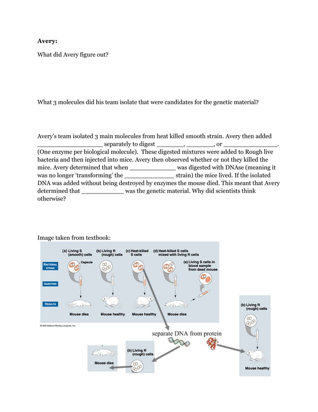 3 major experiments in confirming dna is the genetic material | PDF
