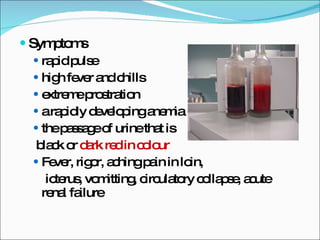3 Malaria Clinical Features | PPT | Blood Disorders | Diseases and ...