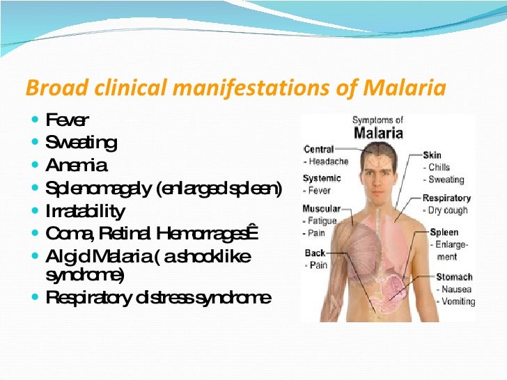 3 Malaria Clinical Features
