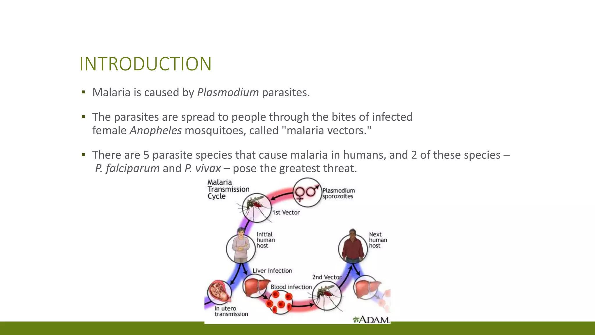 3 malaria ppt | PPT