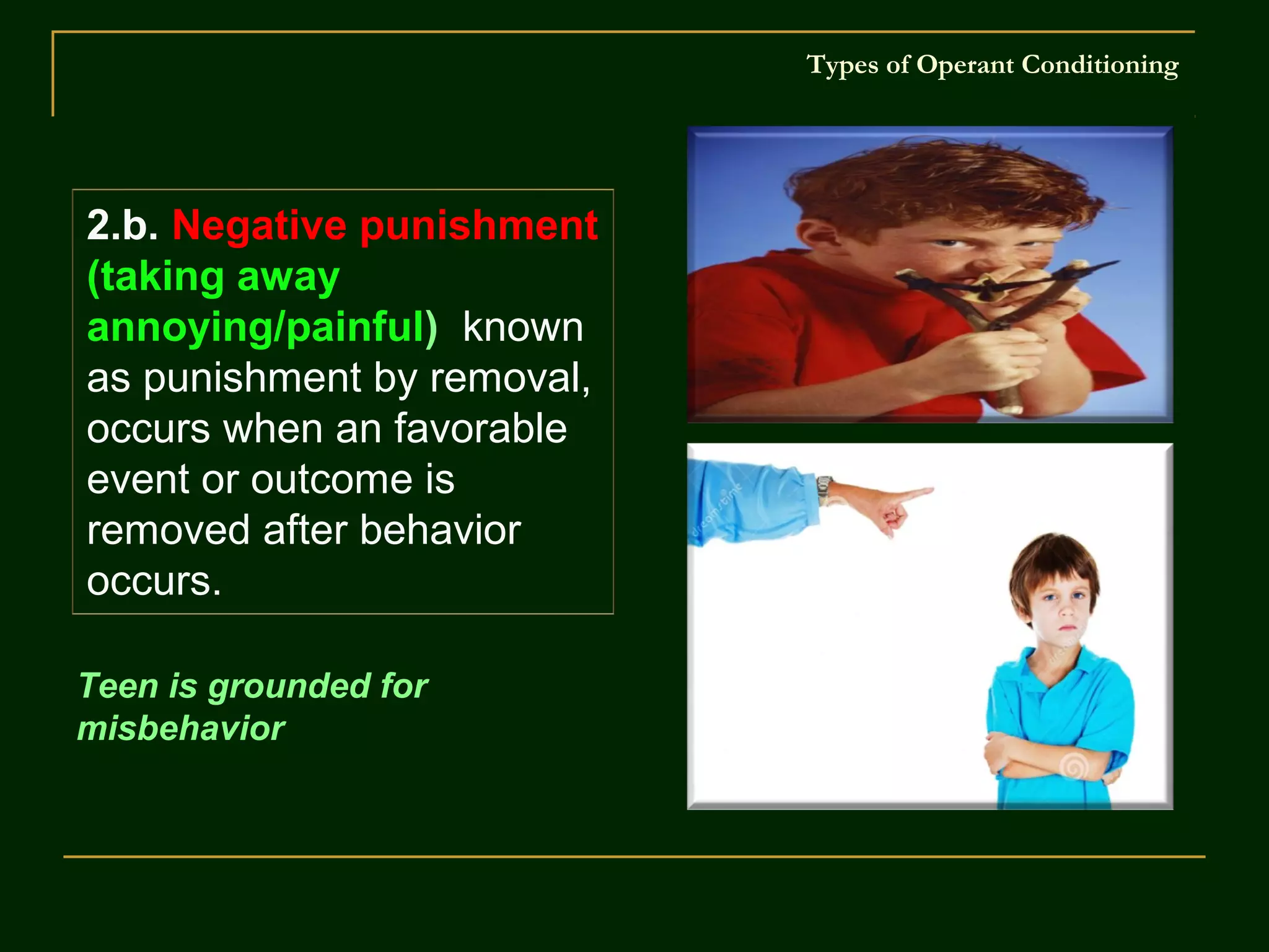 B. F. Skinner's Operant Conditioning | PPT