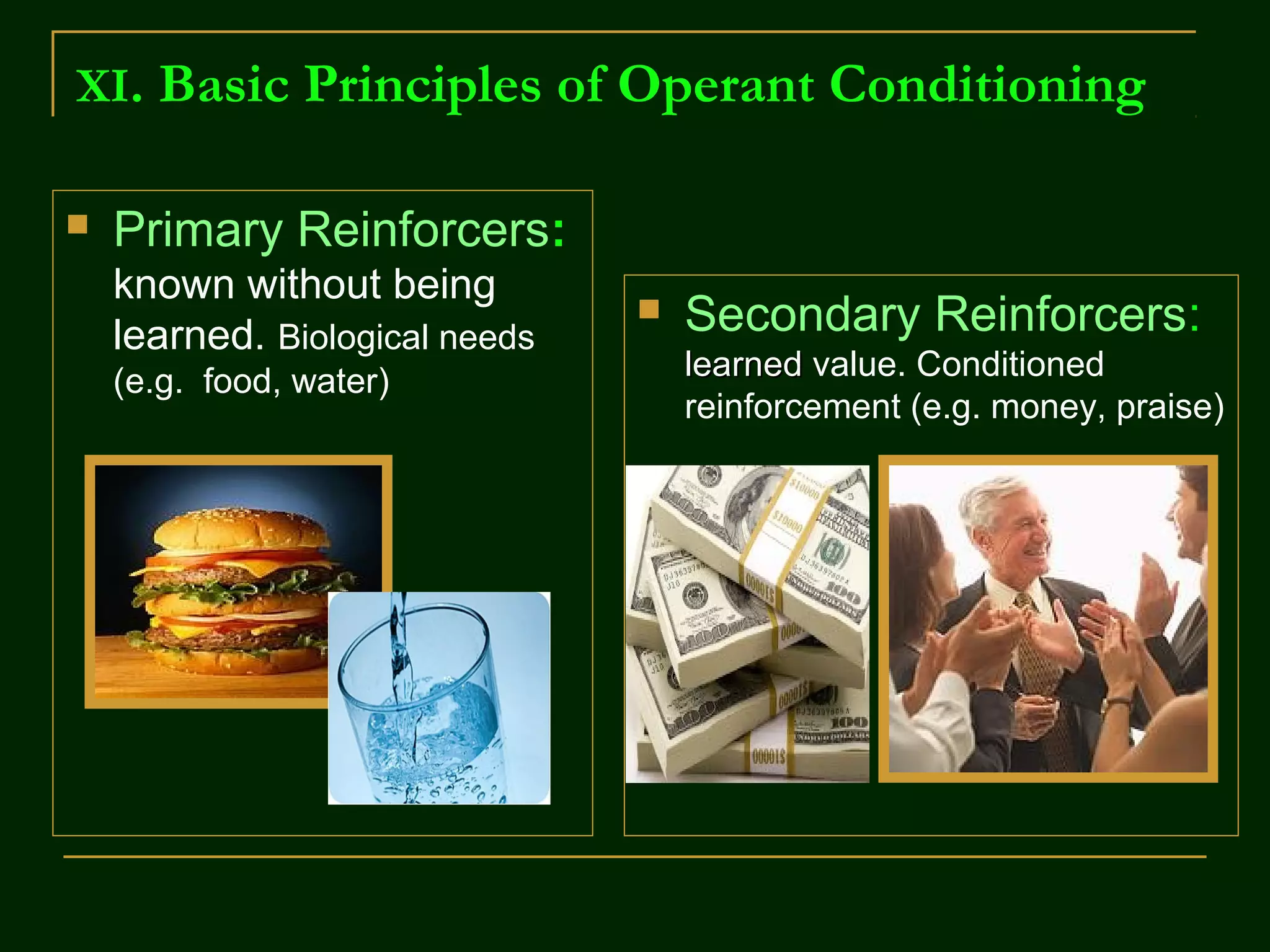 B. F. Skinner's Operant Conditioning | PPT