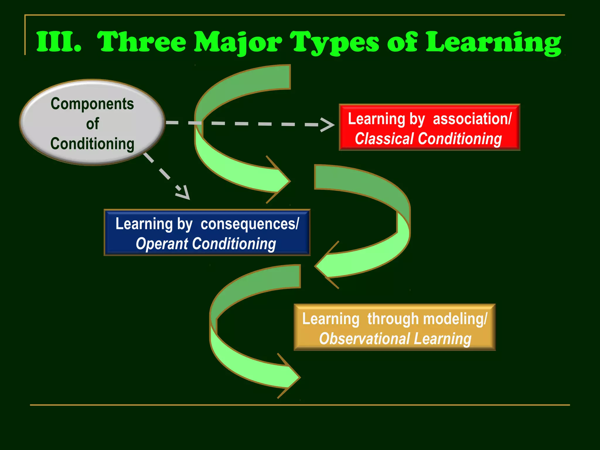 B. F. Skinner's Operant Conditioning | PPT