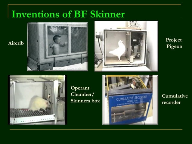 B. F. Skinner's Operant Conditioning | PPT