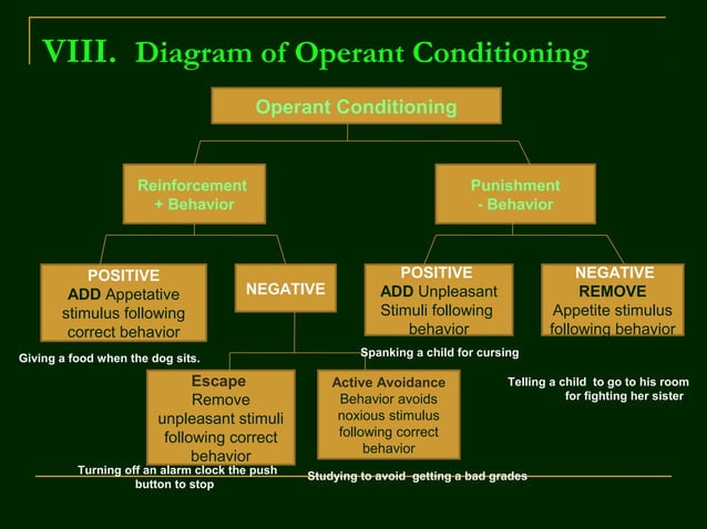 B. F. Skinner's Operant Conditioning | PPT