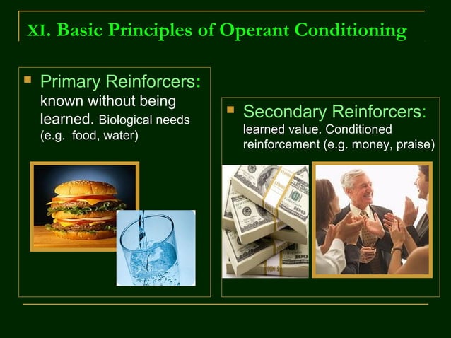 B. F. Skinner's Operant Conditioning | PPT