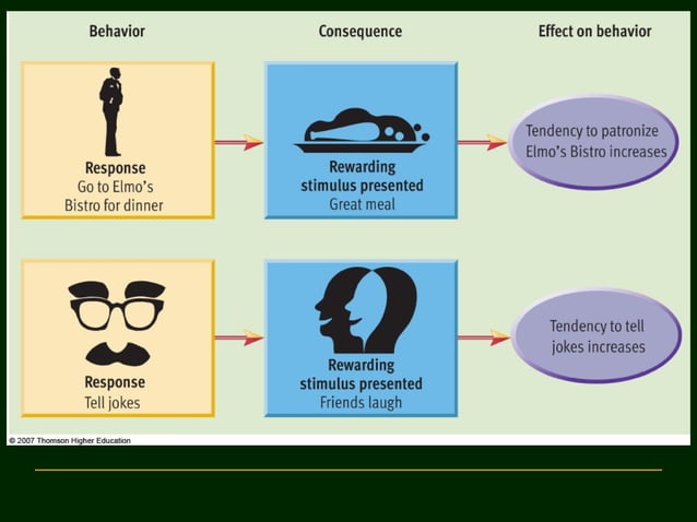 B. F. Skinner's Operant Conditioning | PPT