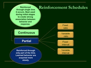 B. F. Skinner's Operant Conditioning | PPT