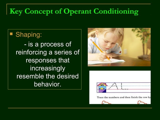 B. F. Skinner's Operant Conditioning | PPT