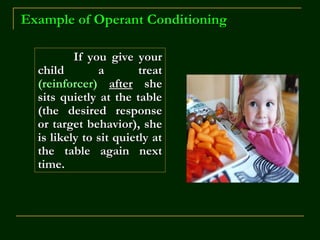 B. F. Skinner's Operant Conditioning | PPT