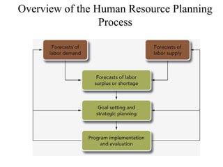 Manpower planning process | PPT