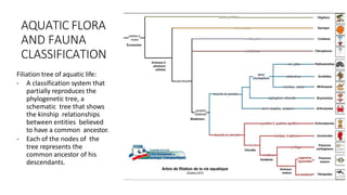 3_Marine biology & ecology_MARINE FLORA FAUNA CLASSIFICATION.pdf | Fish ...