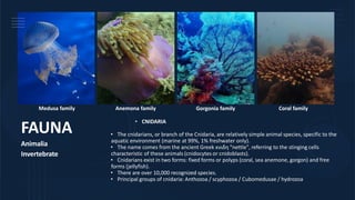 3_Marine biology & ecology_MARINE FLORA FAUNA CLASSIFICATION.pdf