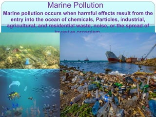 Causes and sources of marine pollution | PPTX