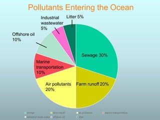 Causes and sources of marine pollution | PPTX