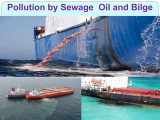 Causes and sources of marine pollution | PPTX