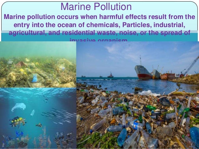 Causes And Sources Of Marine Pollution