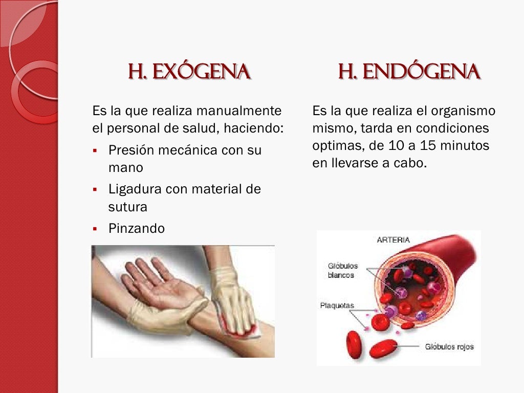 O Que Significa Exógena - RETOEDU